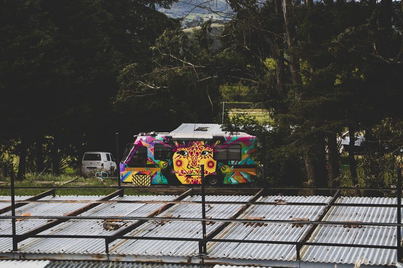 Video: Stinkfish “La Calera” – StreetArtNews