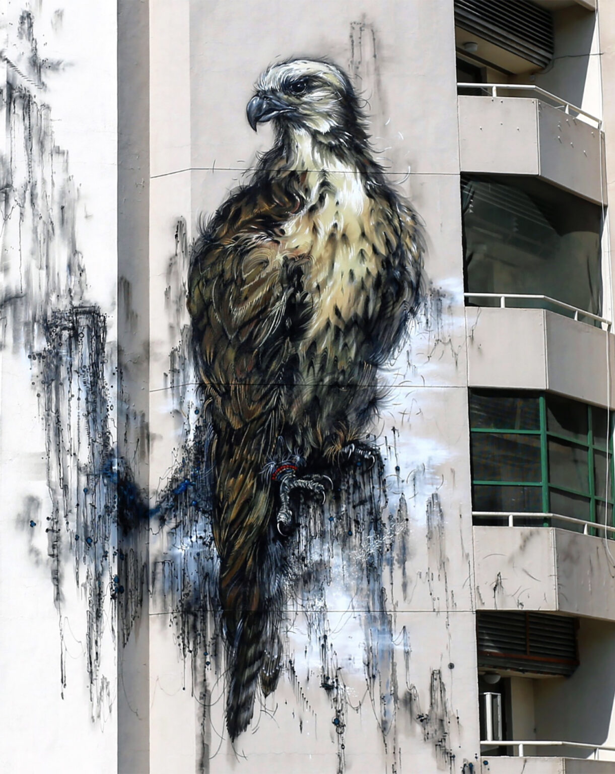 15 Striking Animal Street Art Murals – StreetArtNews