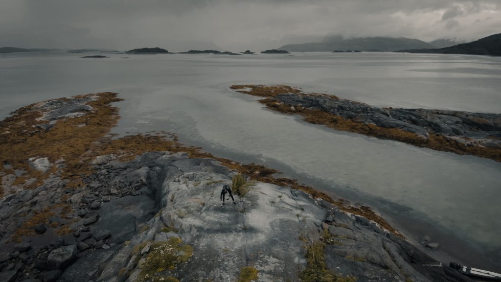 The Art of David Popa – StreetArtNews