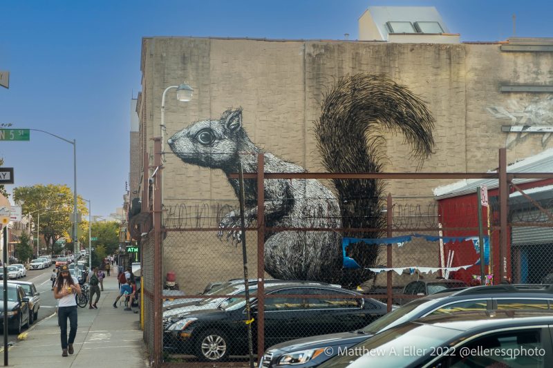Artist Interview: ROA – StreetArtNews
